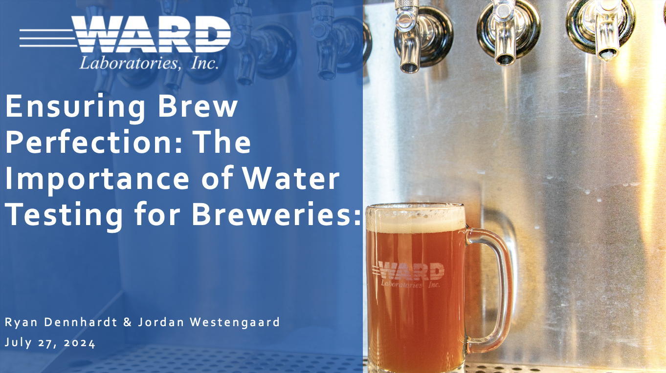 Ensuring Brew Perfection: The Importance of Water Testing for Breweries ...